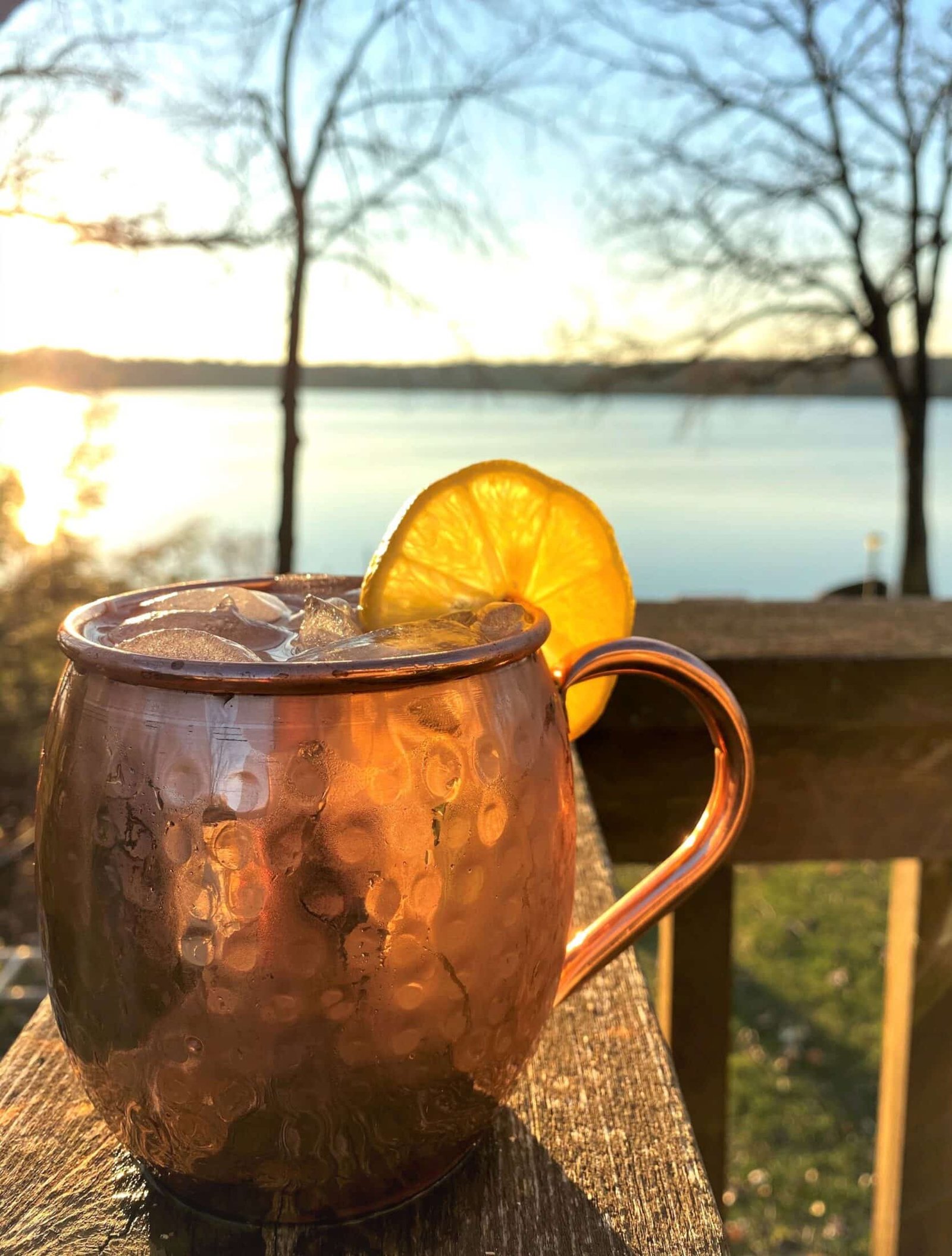 Skinny Minny Mule {Minnesota Mule} – Kayla Girgen, RD, LD, CPT